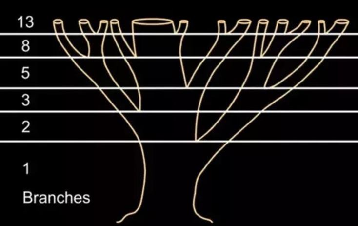 tree-branching – Sublime